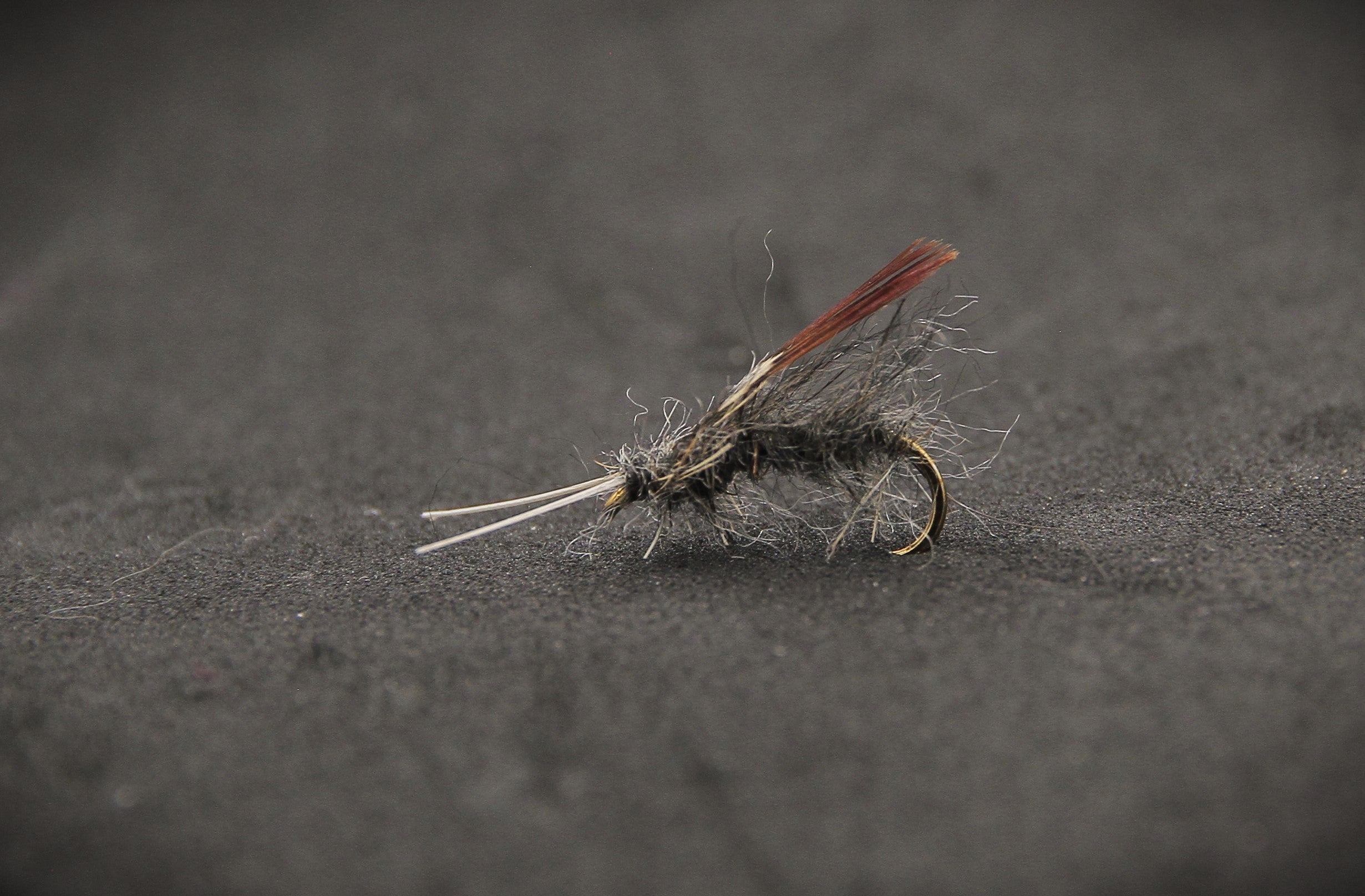 Nancy's Prayer Variant | Selene's Fly Shop