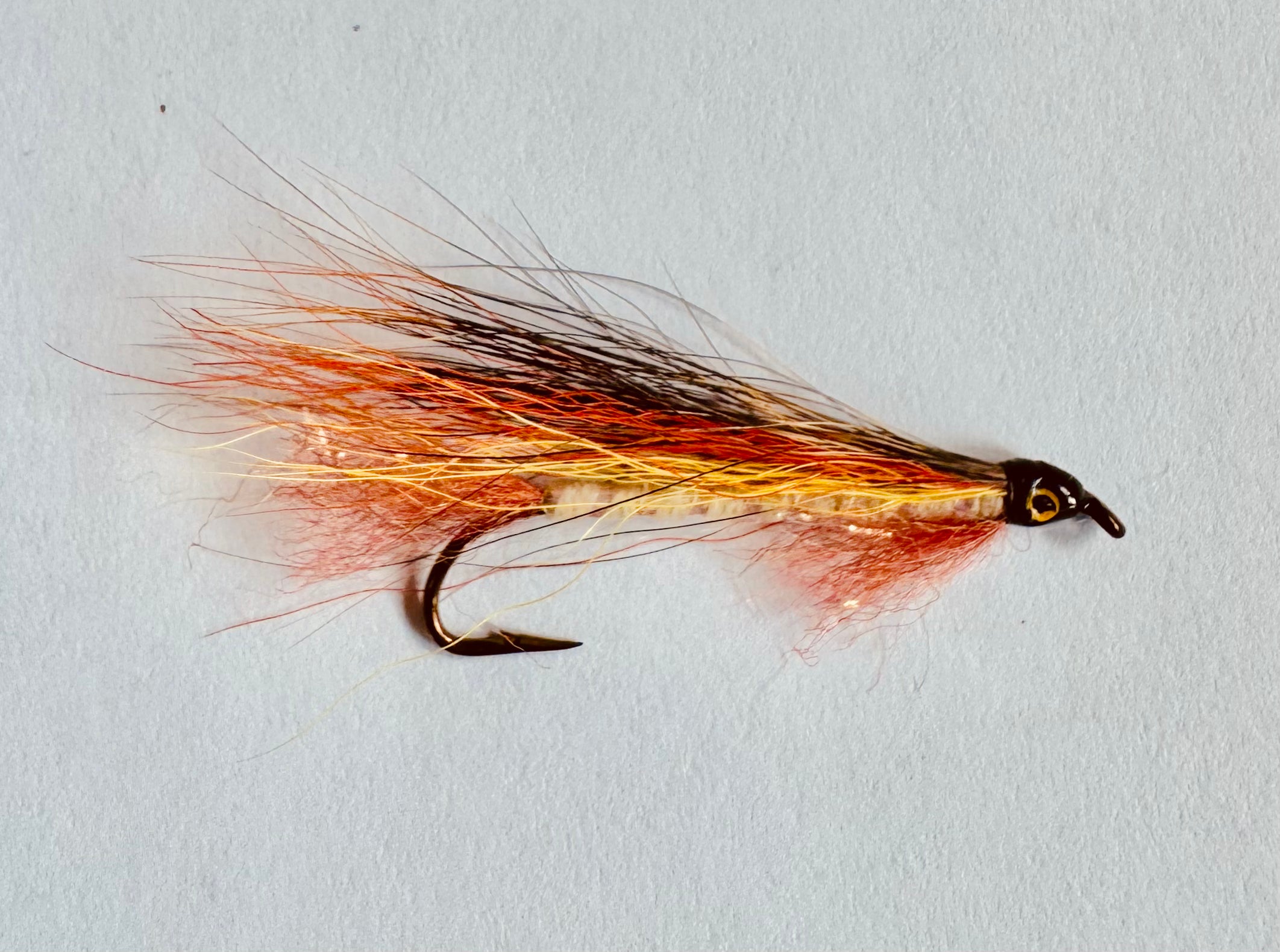 Little Brown Trout | Selene's Fly Shop